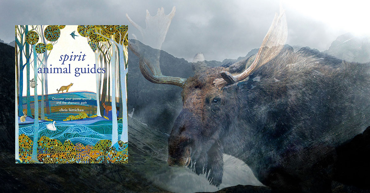 Northern Drum - Spirit Animal Guides by Chris Lüttichau